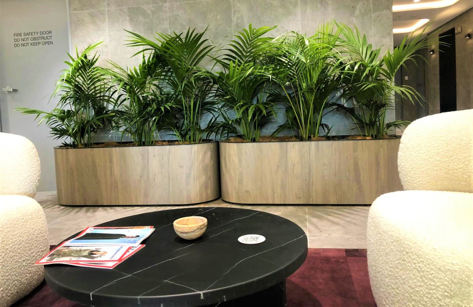 Plants For Commercial Projects | The Plant Man
