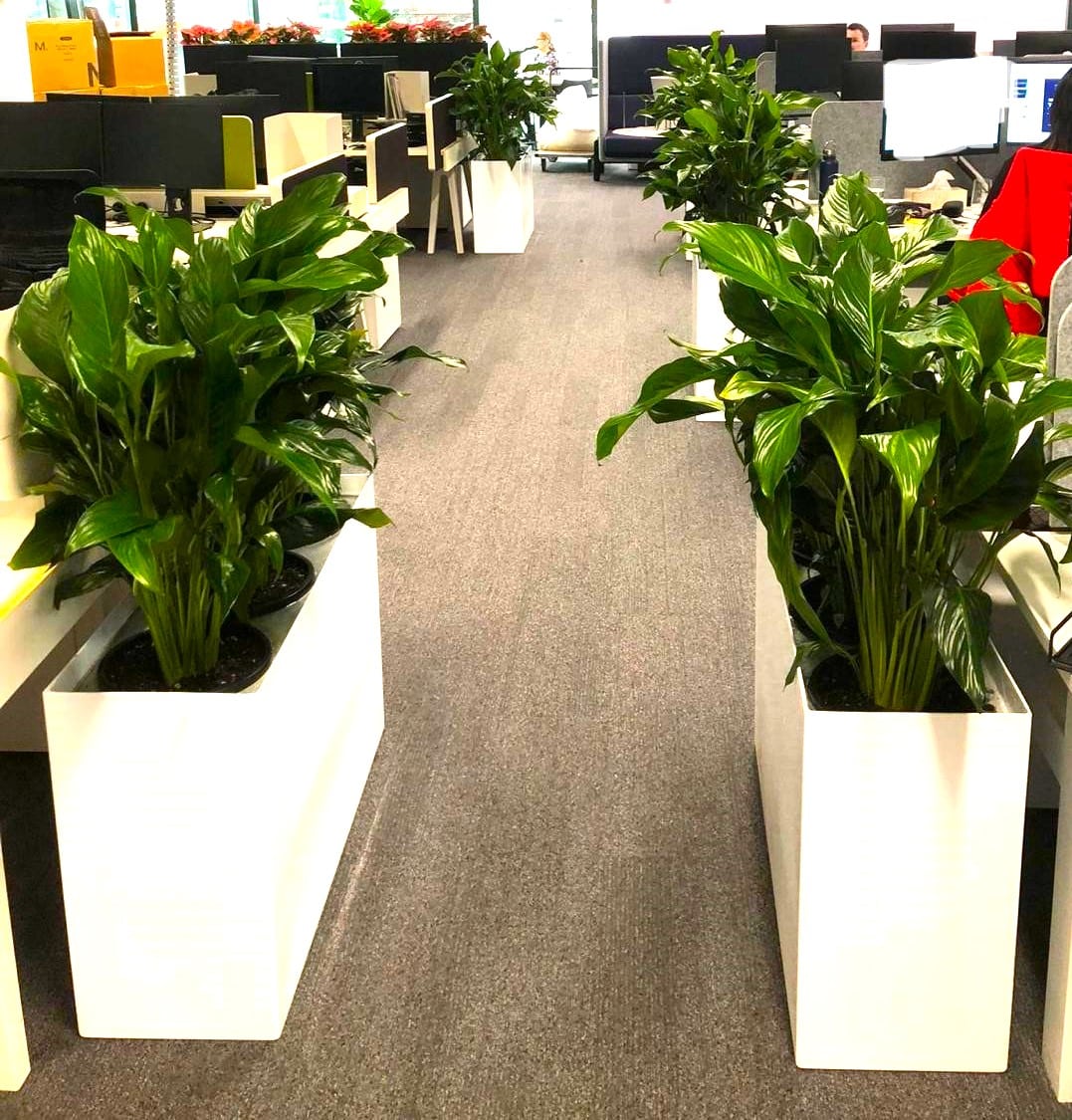 Real vs. Artificial Plants: Which Is Better for Your Space?