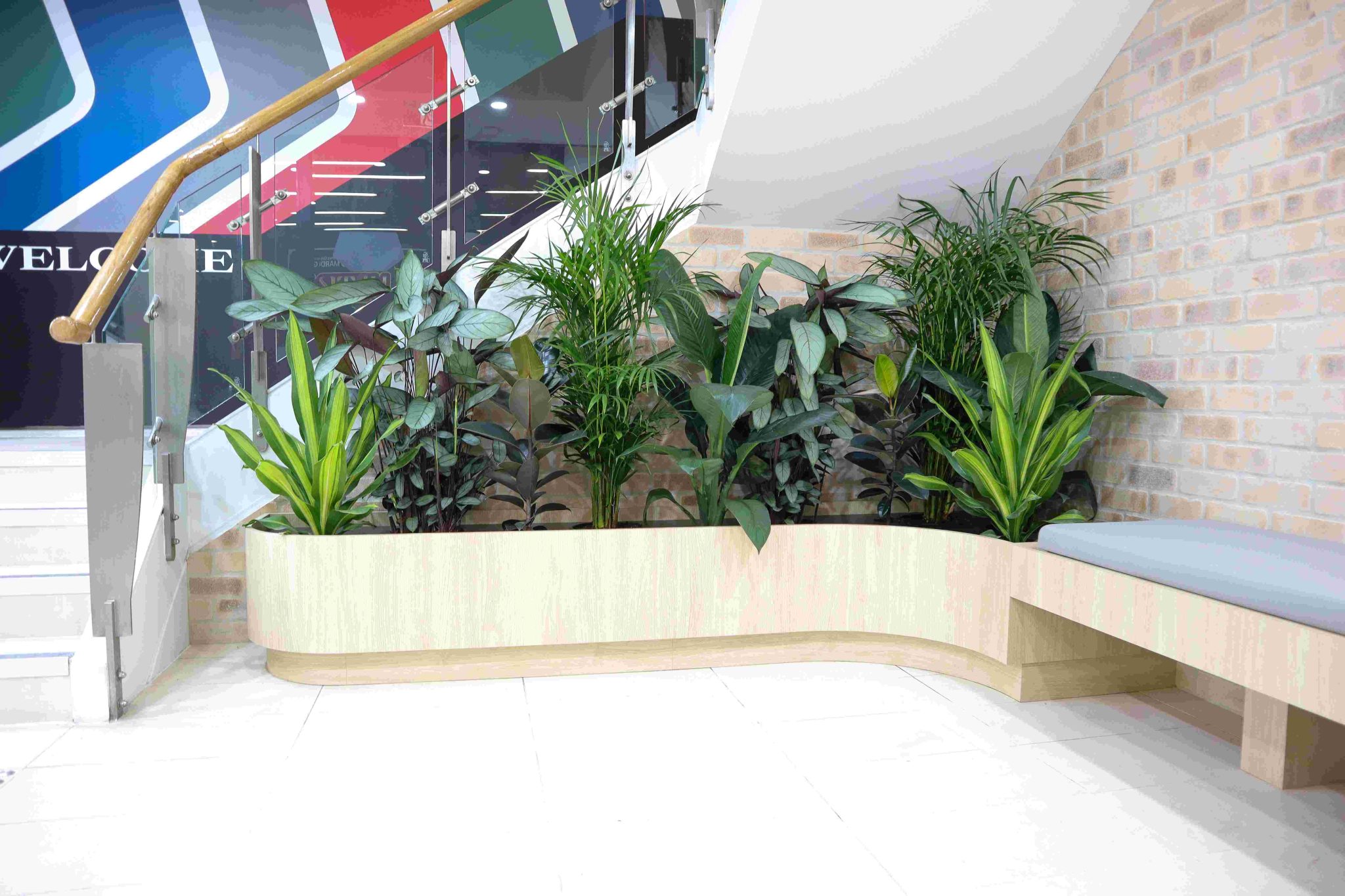 Gallery - Browse Our Incredible Work In Our Gallery | The Plant Man